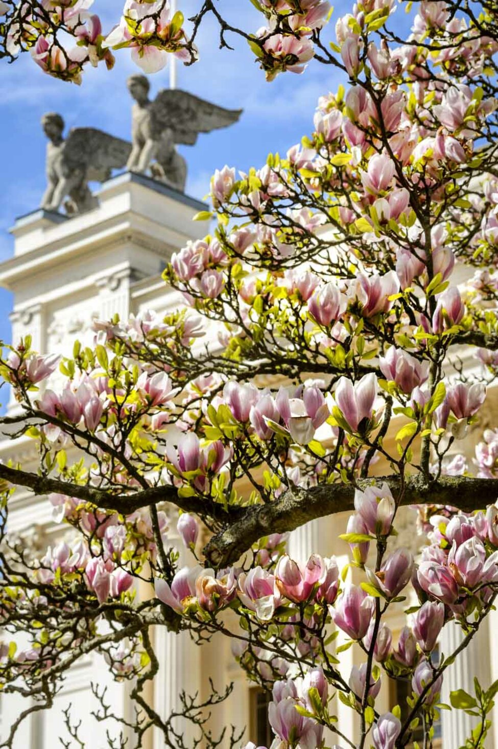 Två nya docenter i historia